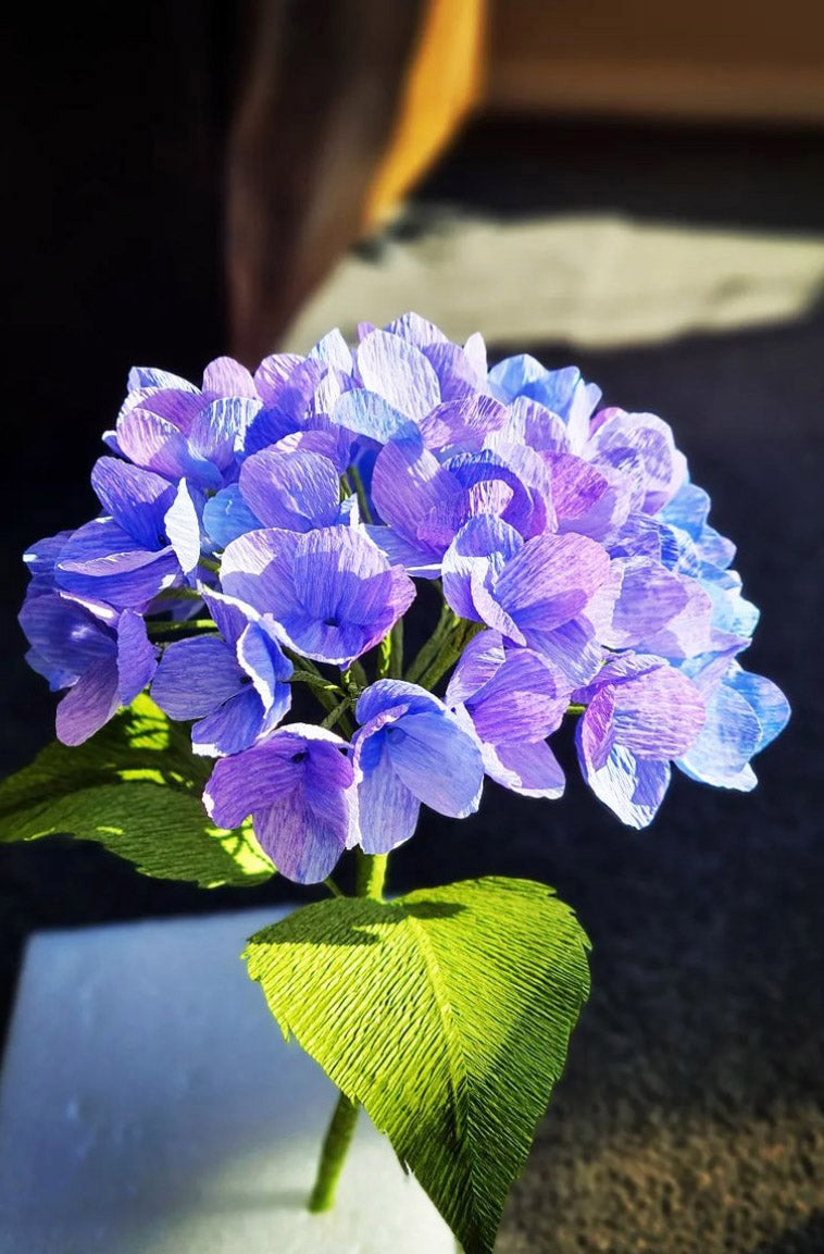 Paper Hydrangea Template – Ta Muchly Paper Blooms