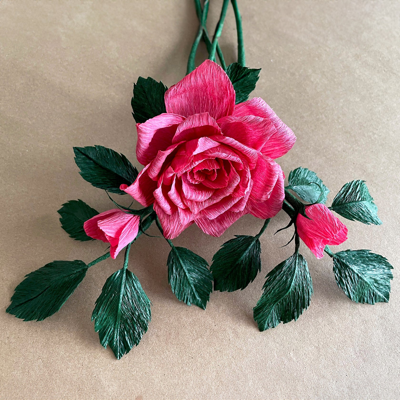 Paper Rose Template and Tutorial – Ta Muchly Paper Blooms