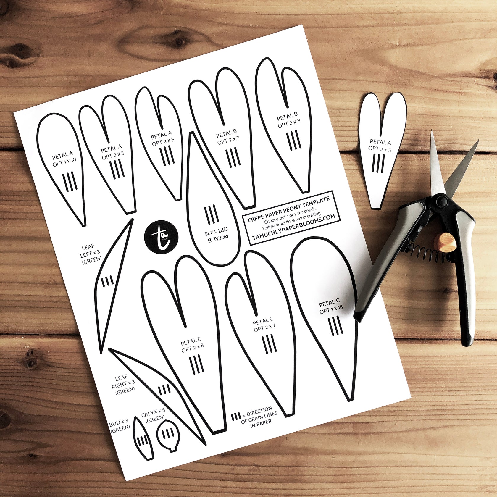 Paper Peony Template – Ta Muchly Paper Blooms
